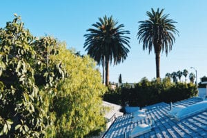 Gay-friendly The Willow West Hollywood Los Angeles | Coupleofmen.com