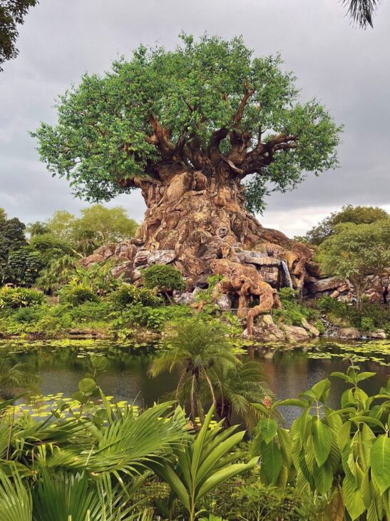 Disney's Animal Kingdom: zoological edutainment